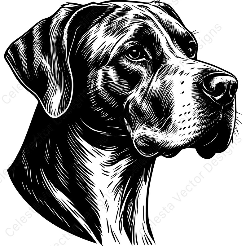 Great Dane Portrait Vector Clipart Digital Download - 4 Images Svg Png ...
