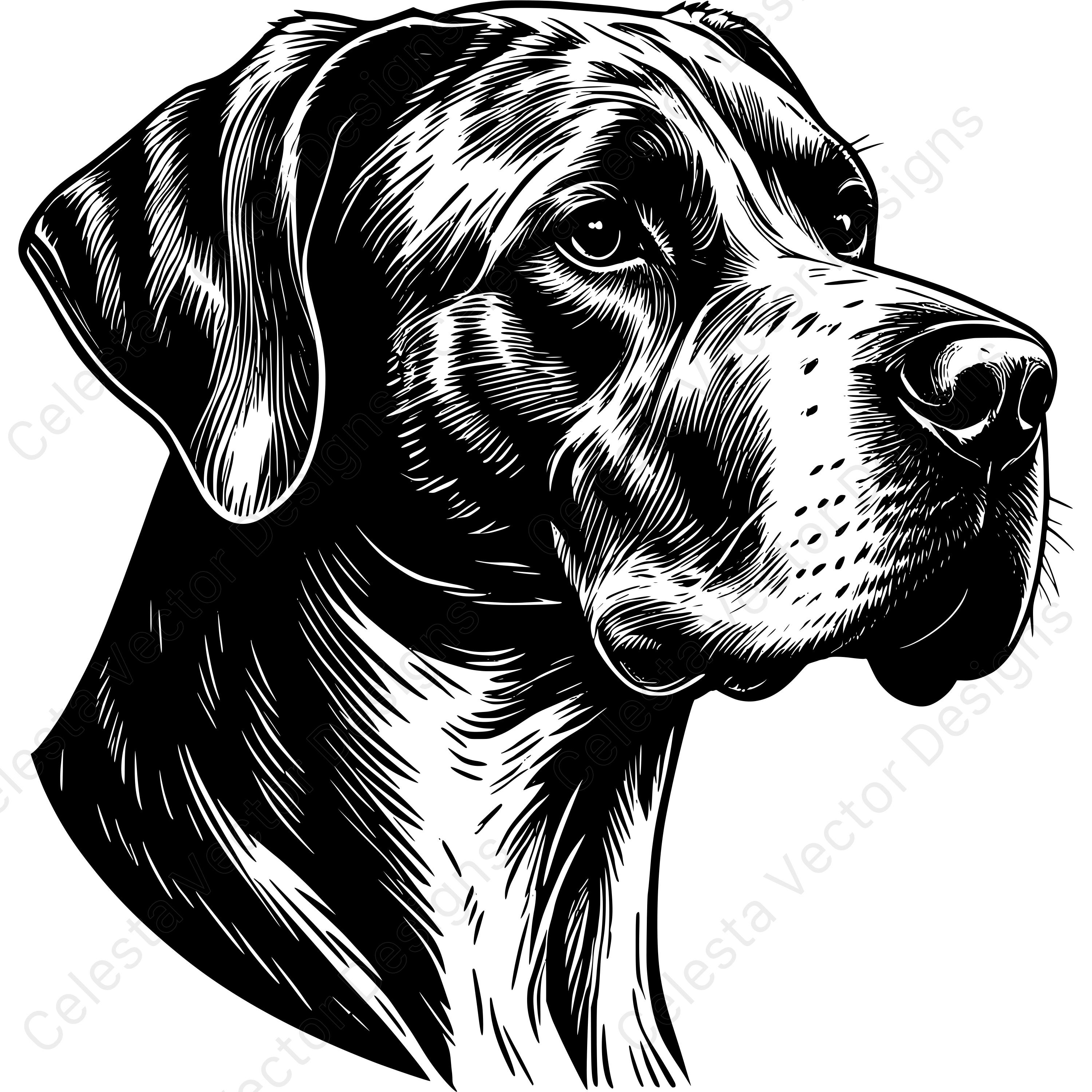 Great Dane Portrait Vector Clipart Digital Download - 4 Images Svg Png ...
