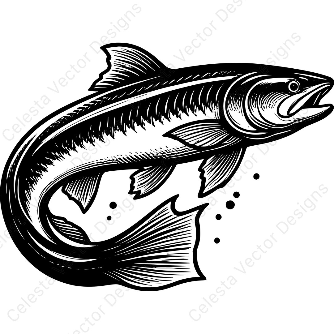 Salmon Fish Vector Clipart - 4 Digital Download Images for Cricut ...