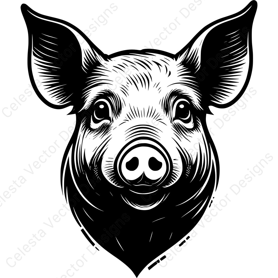 Pig Portrait Vector Clipart Set of 4 Images Digital Download for Cricut ...
