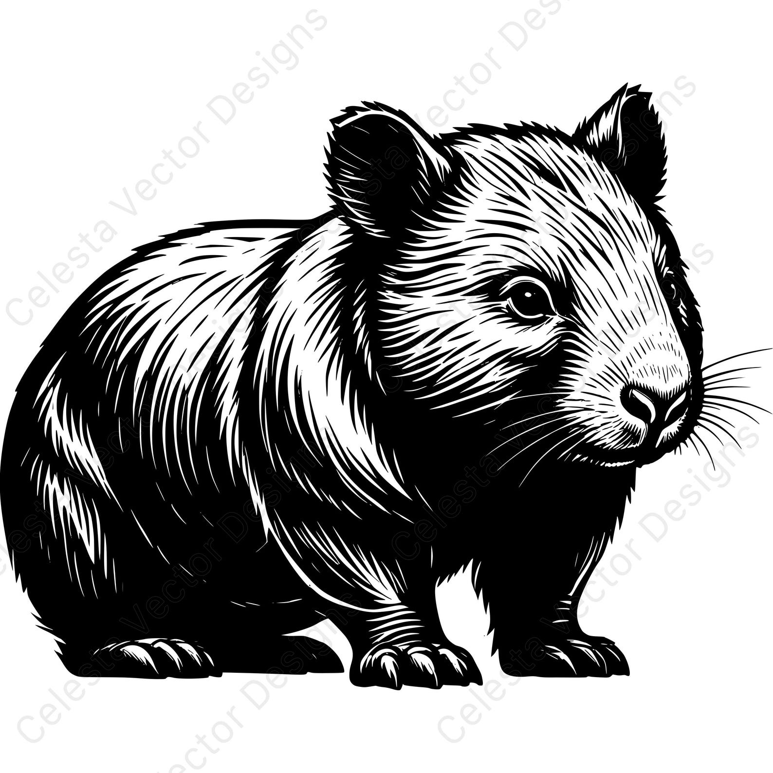 Wombat Portrait Vector Clipart Set of 4 Images Digital Download Svg Png ...