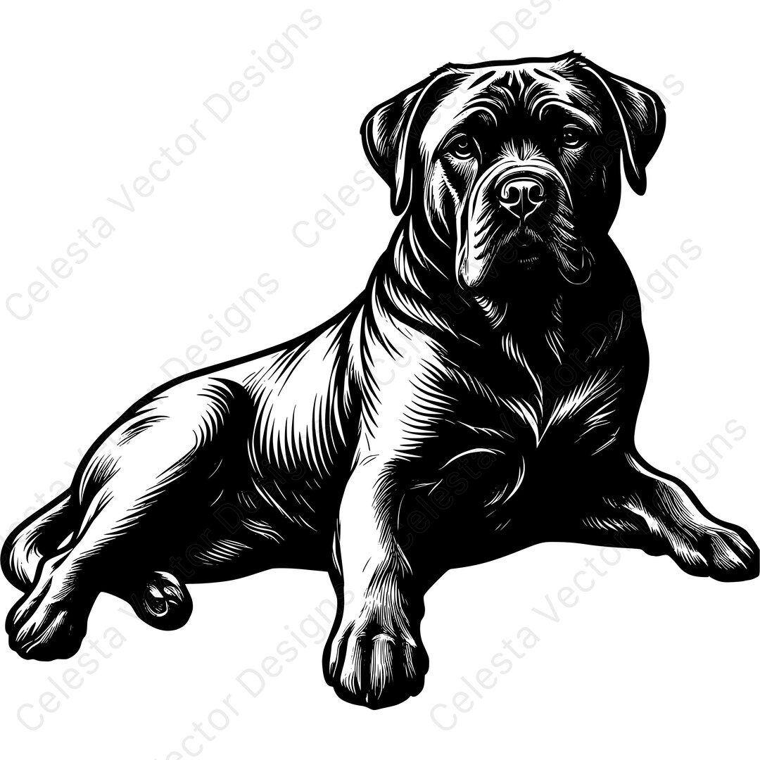 Cane Corso Dog Resting Vector Clipart - 4 Images Digital Download Svg ...