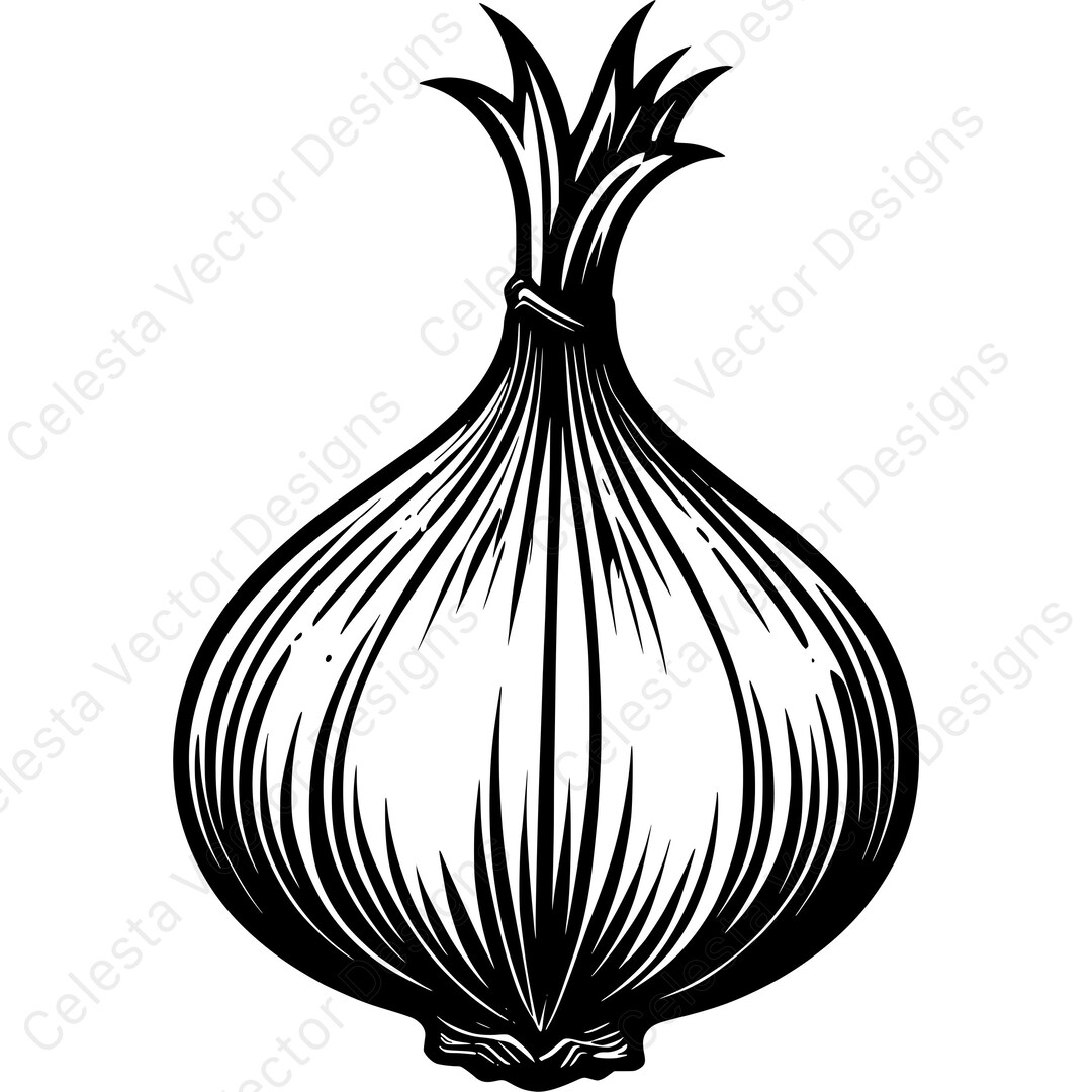 Onion Bulb Vector Clipart Set - 4 Digital Download Images for Cricut ...