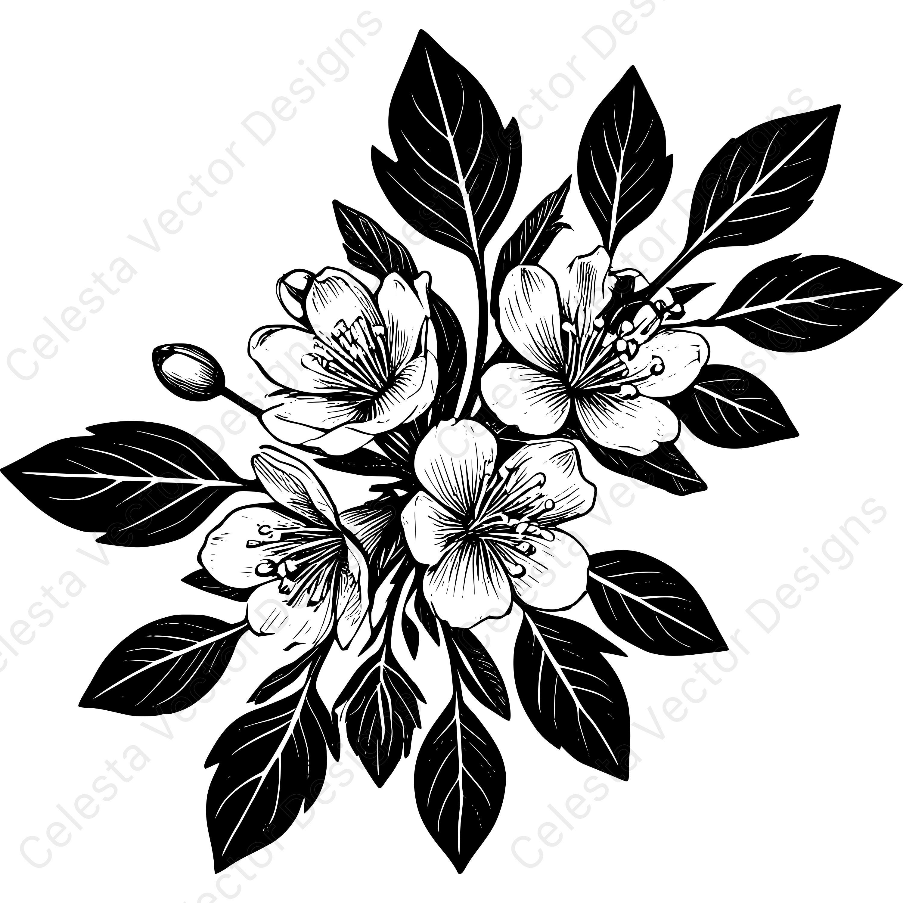Serviceberry Bloom Vector Clipart - 4 Digital Download Images for ...