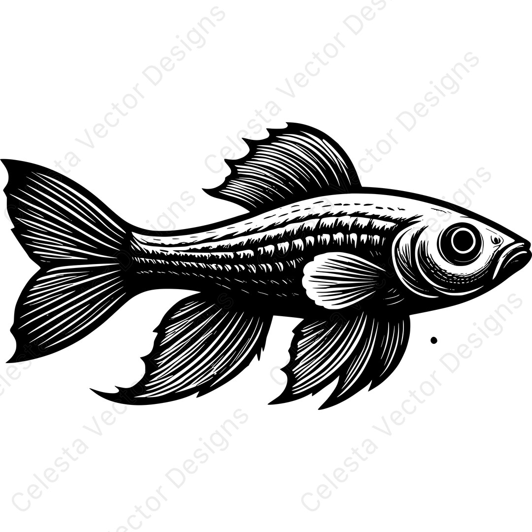 Molly Fish Vector Clipart Digital Download - 4 Svg Images for Cricut ...