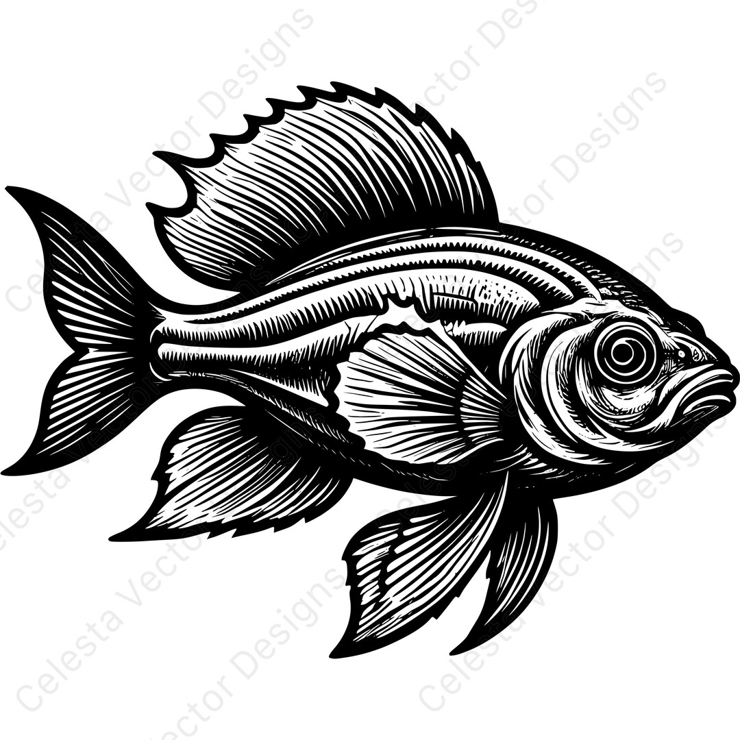 Oscar Fish Vector Clipart Set - 4 Digital Download Images for Cricut ...