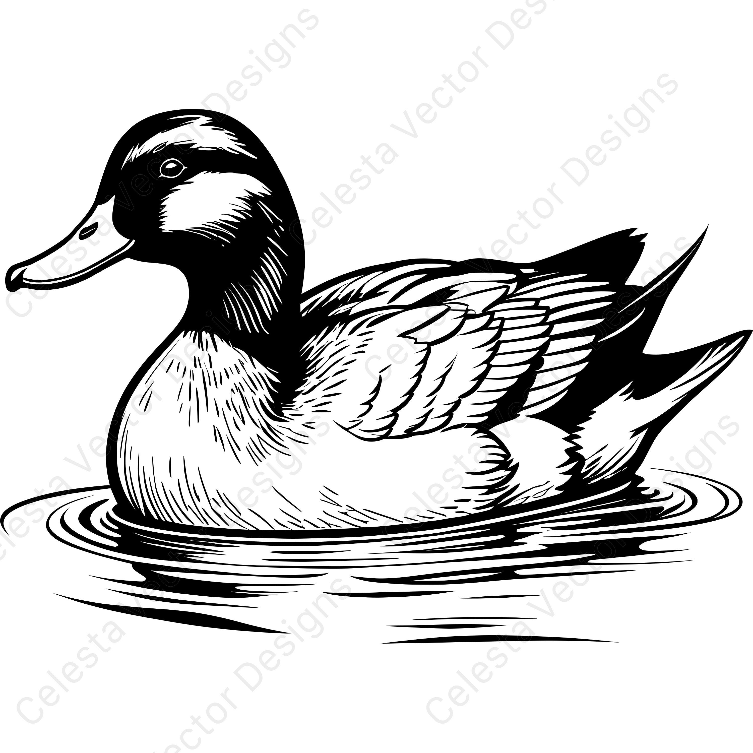Farm Duck Vector Clipart Digital Download - 4 Images Svg Png Jpg Pdf ...