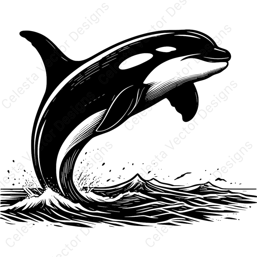 Orca Whale Portrait Vector Clipart Digital Download - 4 Images in Svg ...