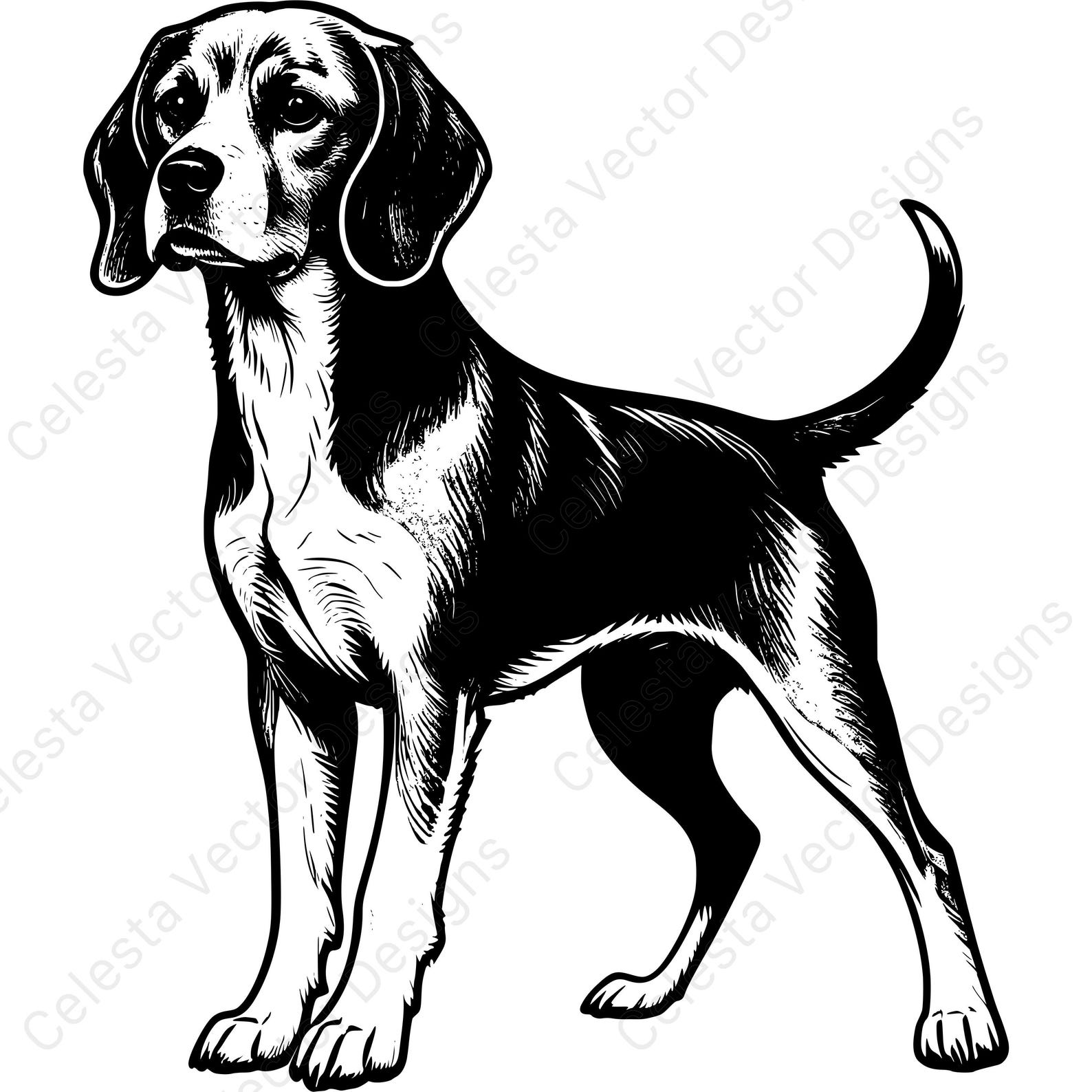 Beagle Portrait Clipart - 4 Vector Images for Digital Download (svg ...
