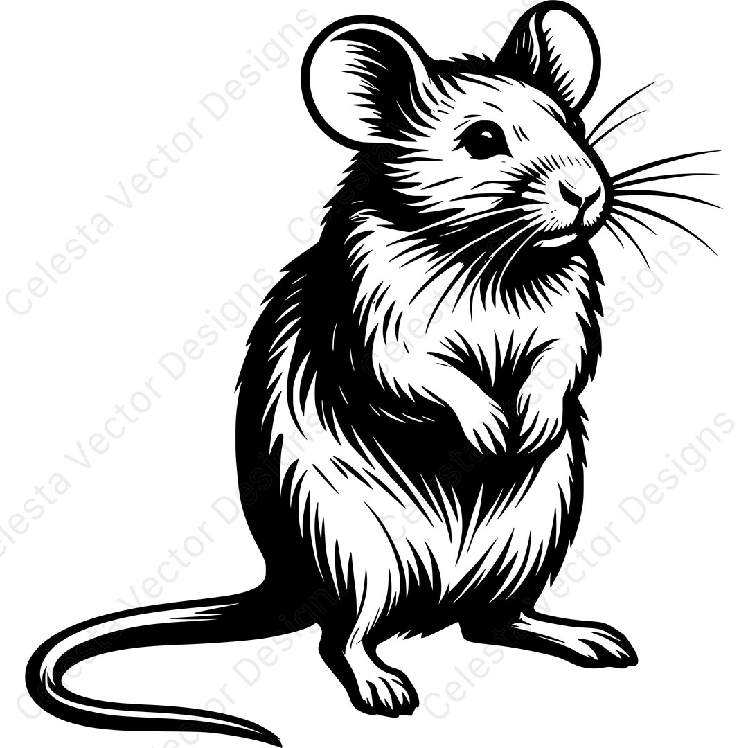 Mouse Portrait Vector Clipart - 4 Digital Download Images for Cricut ...