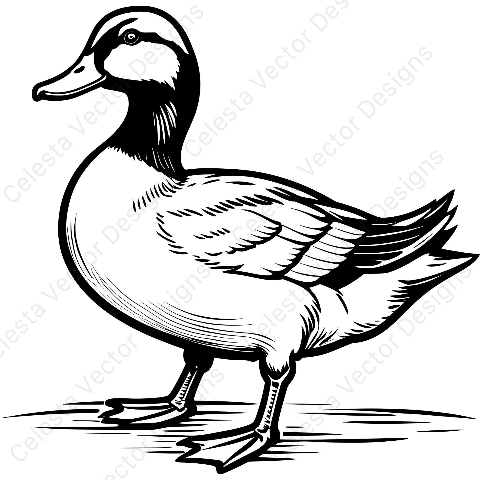 Farm Duck Vector Clipart Digital Download - 4 Images Svg Png Jpg Pdf ...