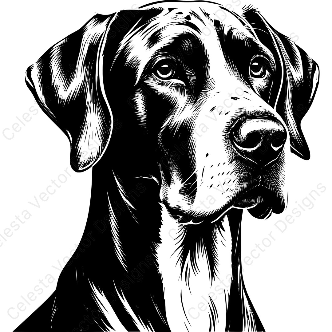 Great Dane Portrait Vector Clipart Digital Download - 4 Images Svg Png ...