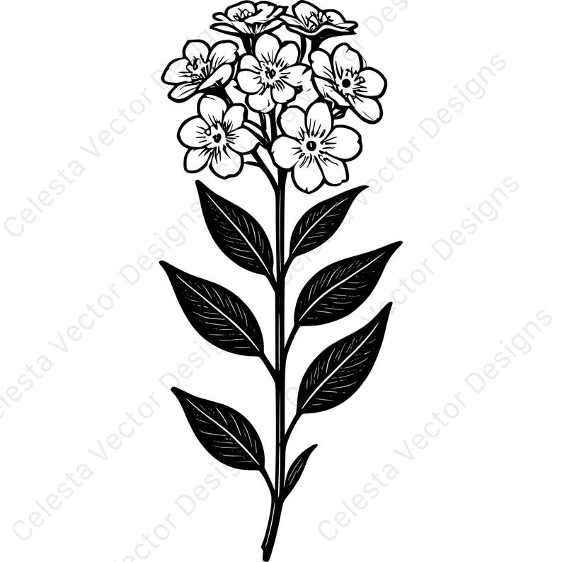 Forget-me-not Vector Clipart Set - 4 Digital Download Images for Cricut ...