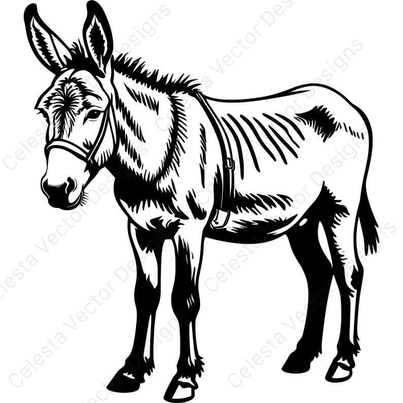 Farm Donkey Clipart Set - 4 Vector Images for Digital Download - Svg ...