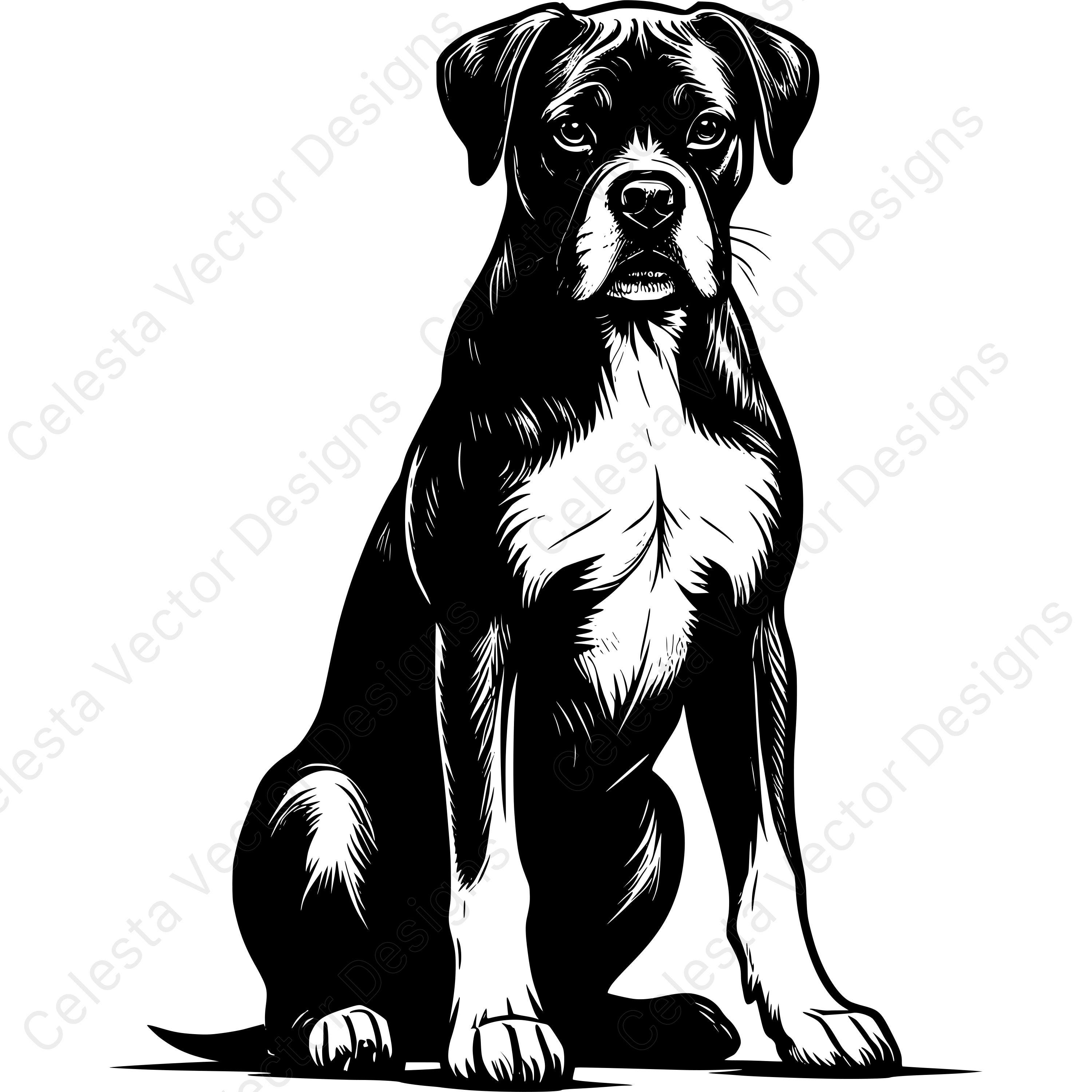 Boxer Portrait Clipart - 4 Vector Images for Digital Download Svg Png ...