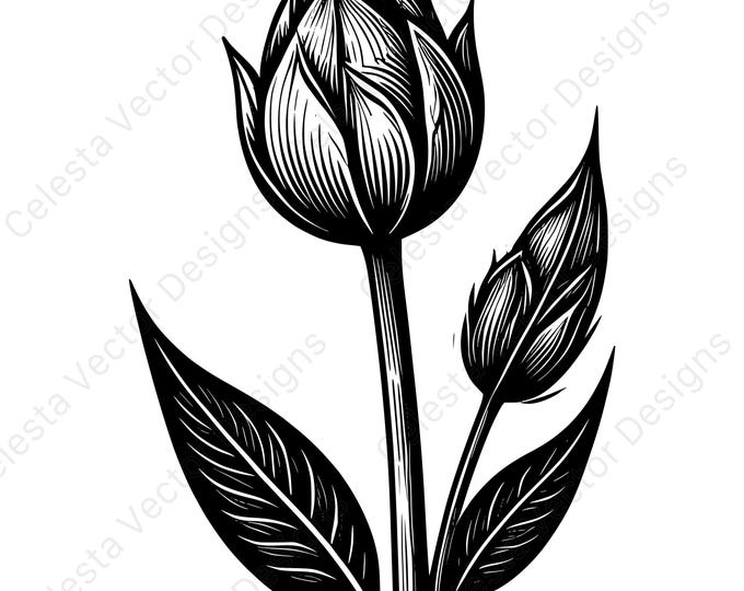 Bud and Bloom Digital Stamp (svg, Png, Pdf, Jpg) - Etsy Canada