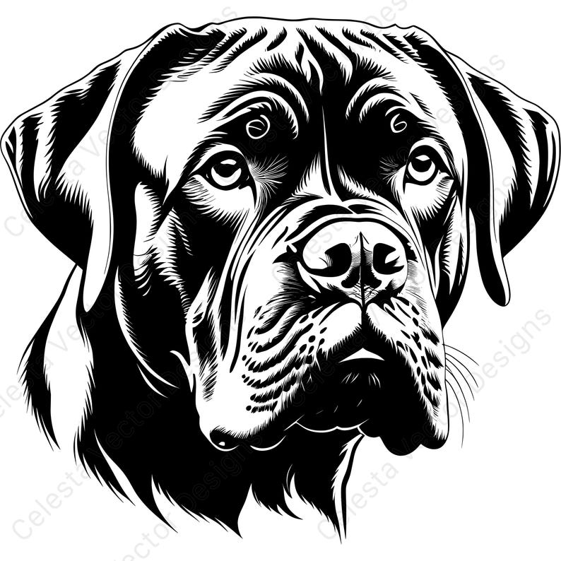 Cane Corso Dog Vector Clipart (svg, Png, Jpg, Pdf, Eps) Digital ...