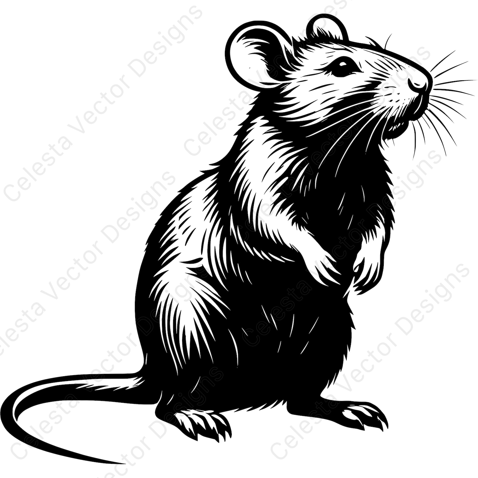 Rat Portrait Vector Clipart Set - 4 Images Digital Download Svg Png Jpg ...