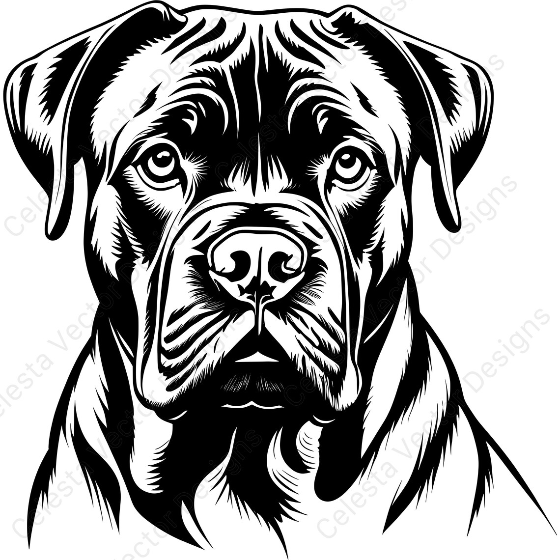 Cane Corso Thoughtful Dog Vector Clipart - 4 Images Digital Download ...