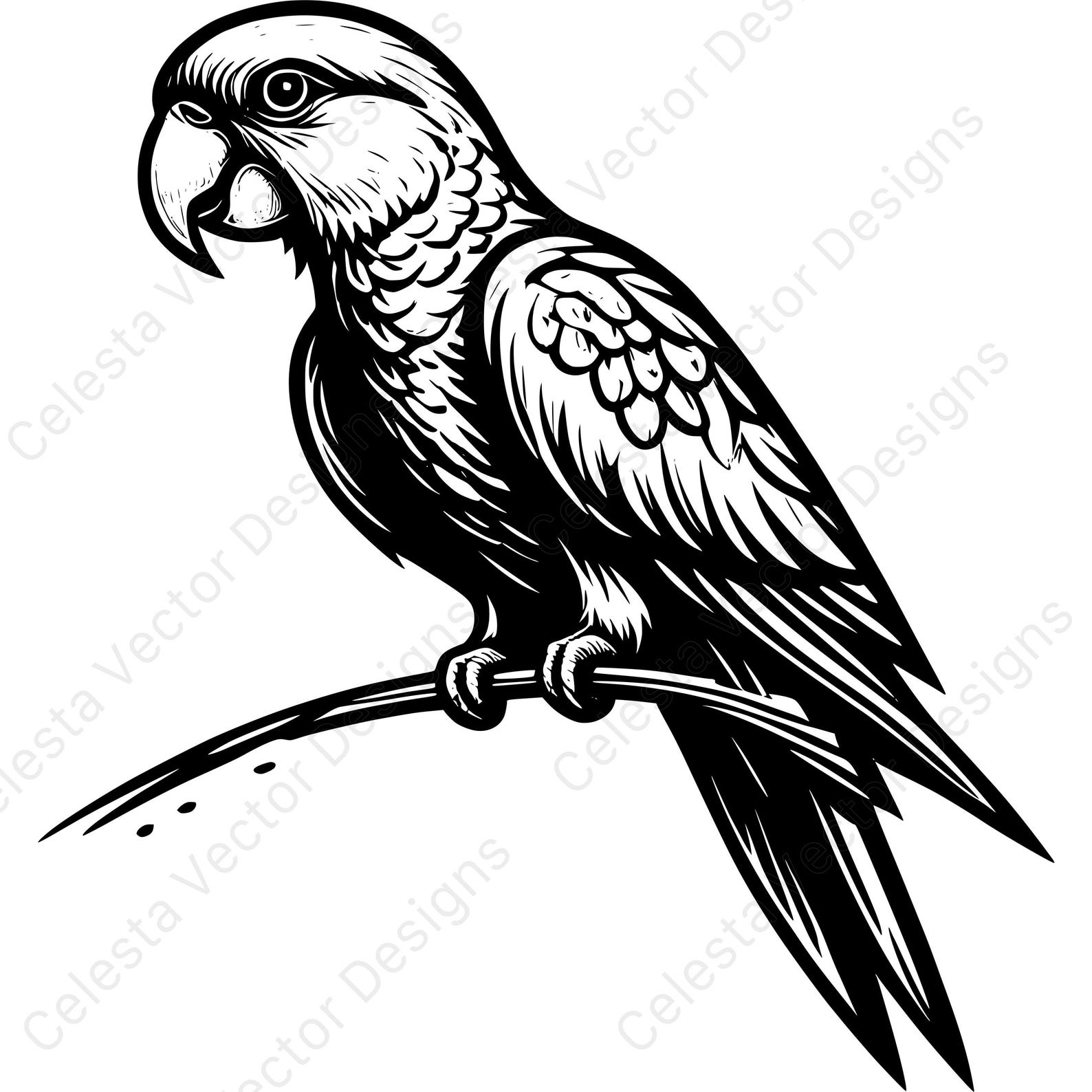 Parrot Vector Clipart Set - 4 Digital Download Images for Cricut ...