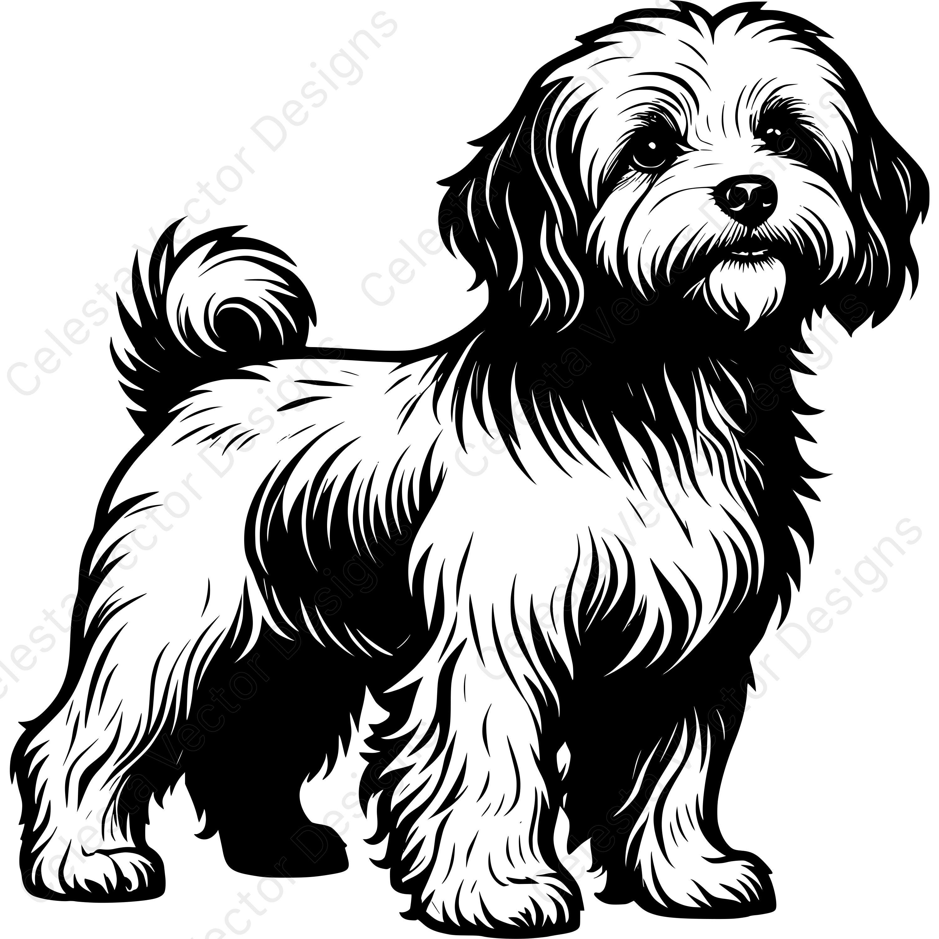 Havanese Dog Portrait Clipart, 4 Images Vector Digital Download for ...