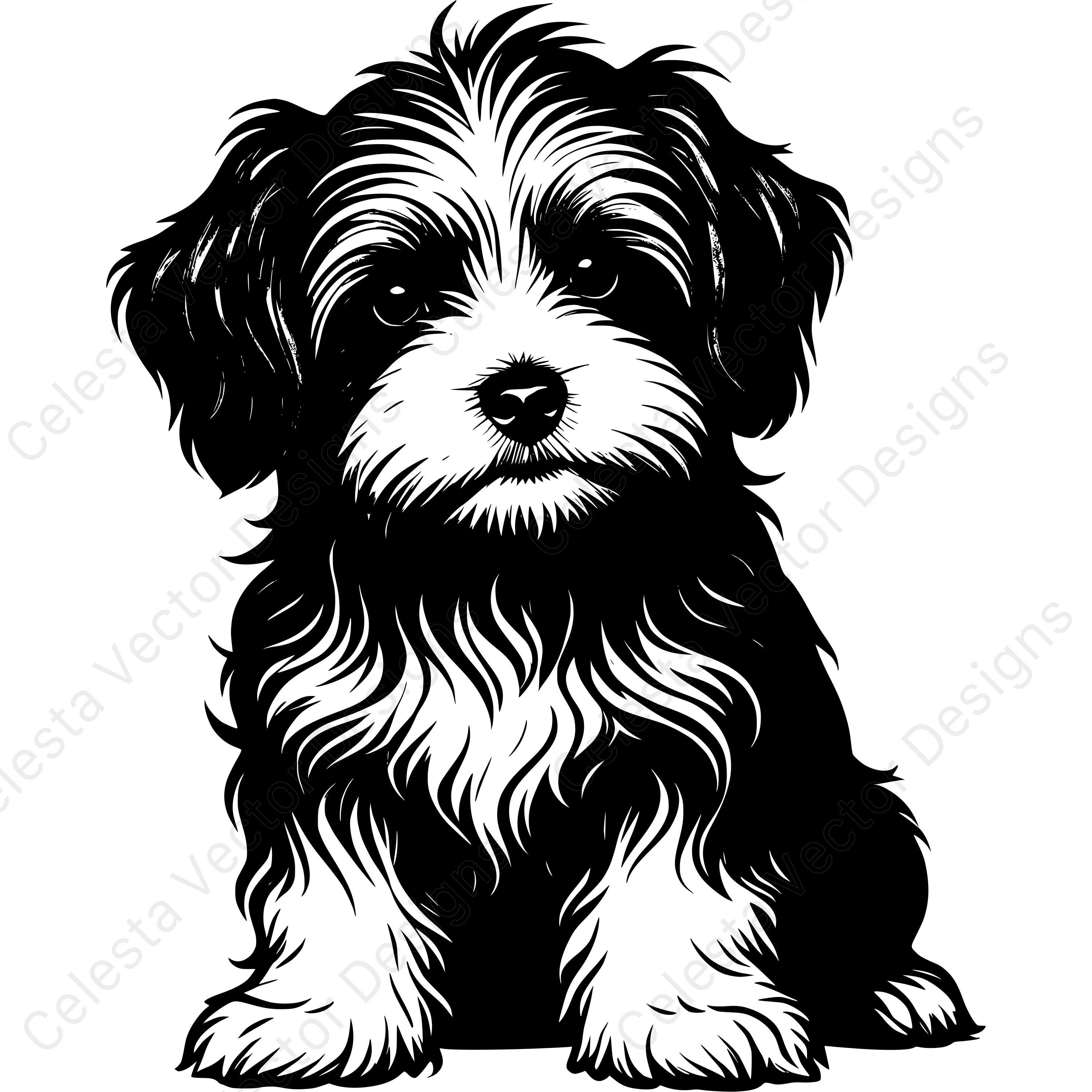 Havanese Dog Portrait Clipart 4 Images Vector Digital Download Svg Png ...