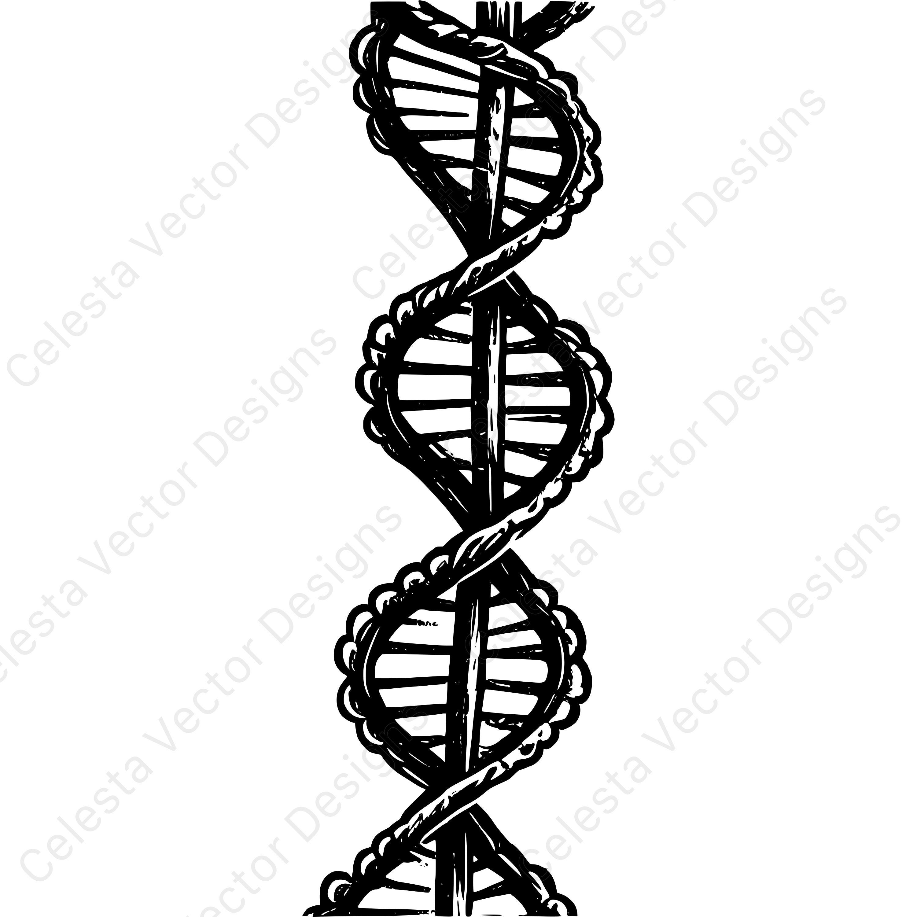 Dna Strand Vector Clipart - 4 Digital Download Images for Cricut ...