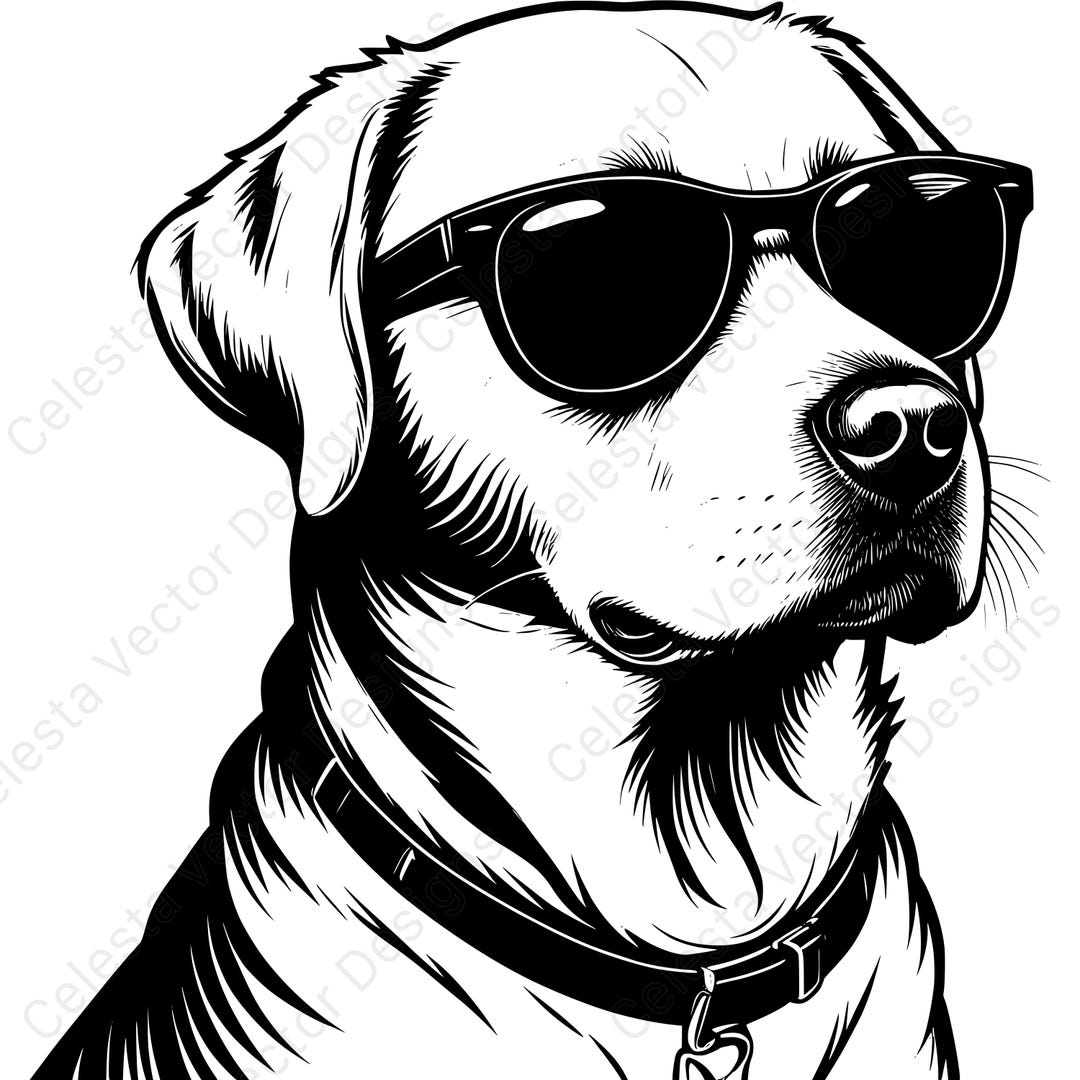 Cool Labrador With Sunglasses Vector Clipart - 4 Digital Download ...