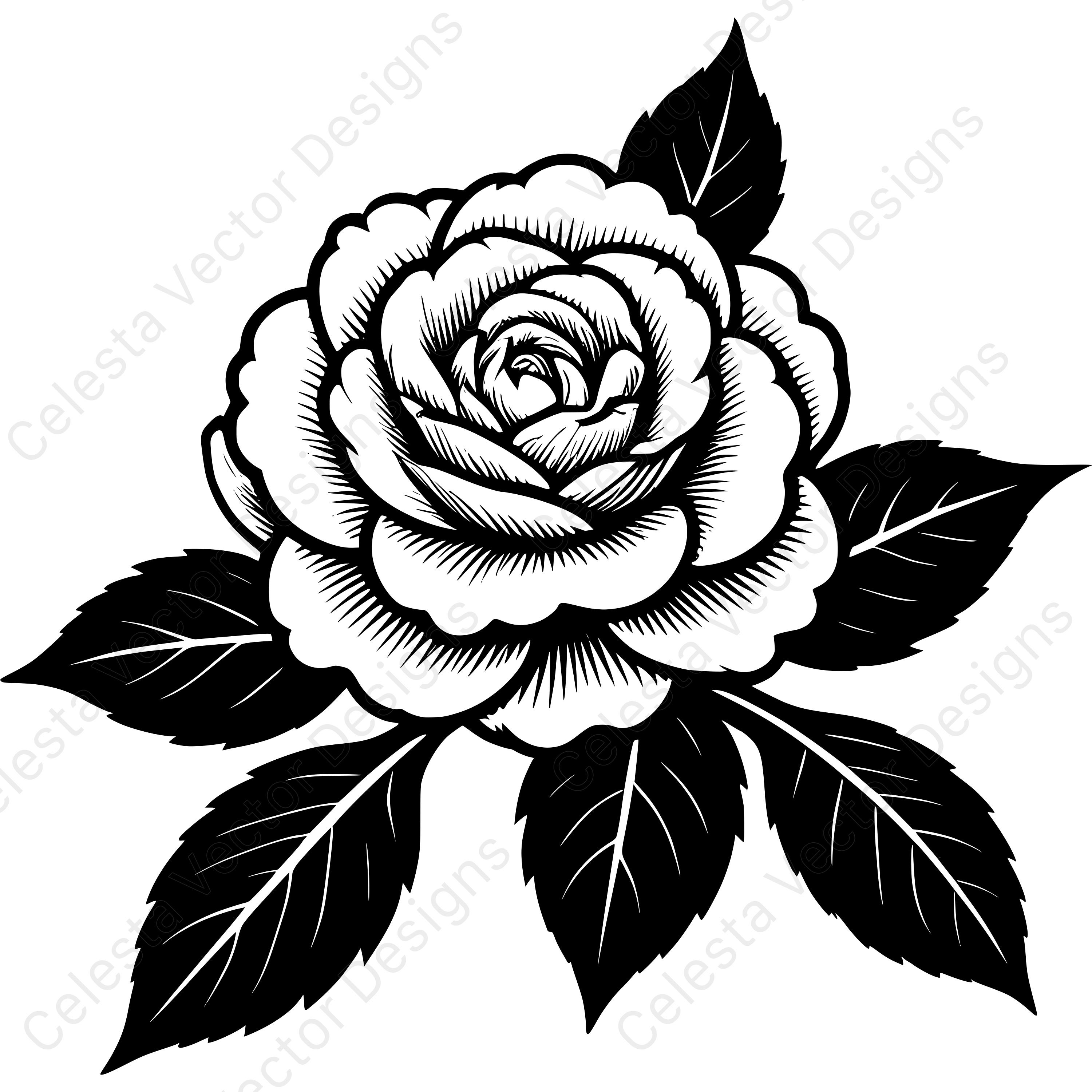 Camellia Flower Clipart Set - 4 Vector Images for Digital Download Svg ...
