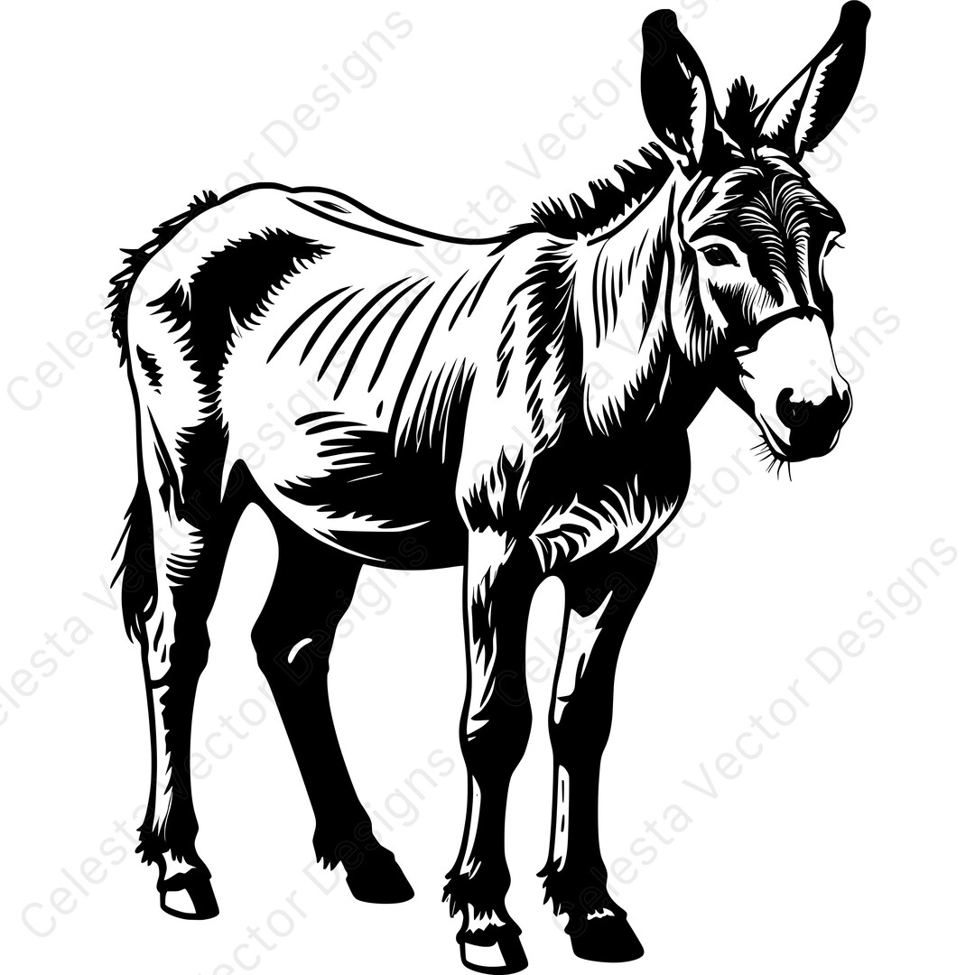 Farm Donkey Clipart Set - 4 Vector Images for Digital Download - Svg ...
