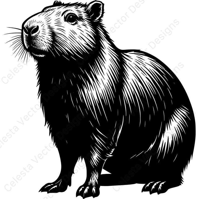Capybara Portrait Clipart - 4 Digital Download Images Svg Vector for ...