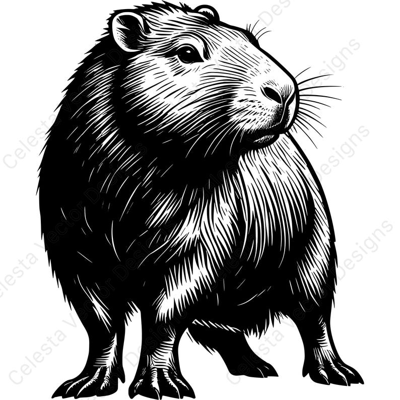 Capybara Portrait Clipart - 4 Digital Download Images Svg Vector for ...