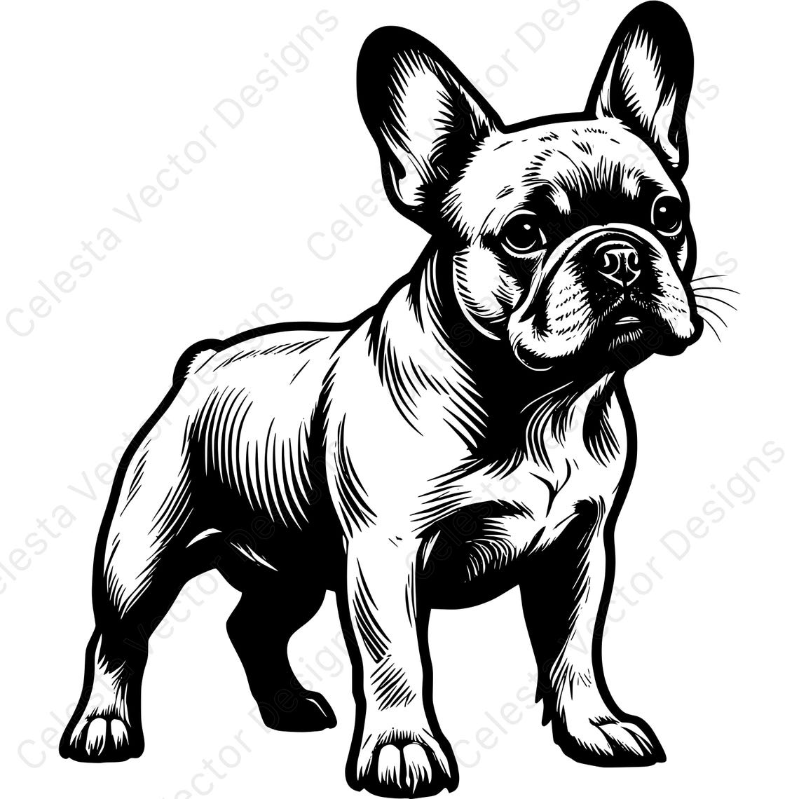 Playful French Bulldog Clipart - 4 Vector Images for Digital Download ...