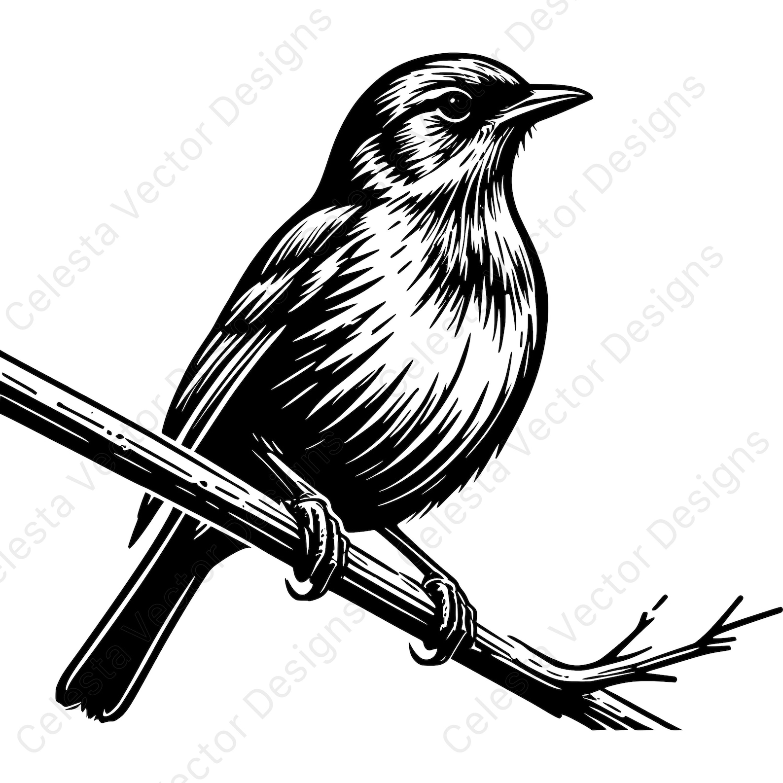 Robin Bird Vector Clipart - 4 Digital Download Images for Cricut ...