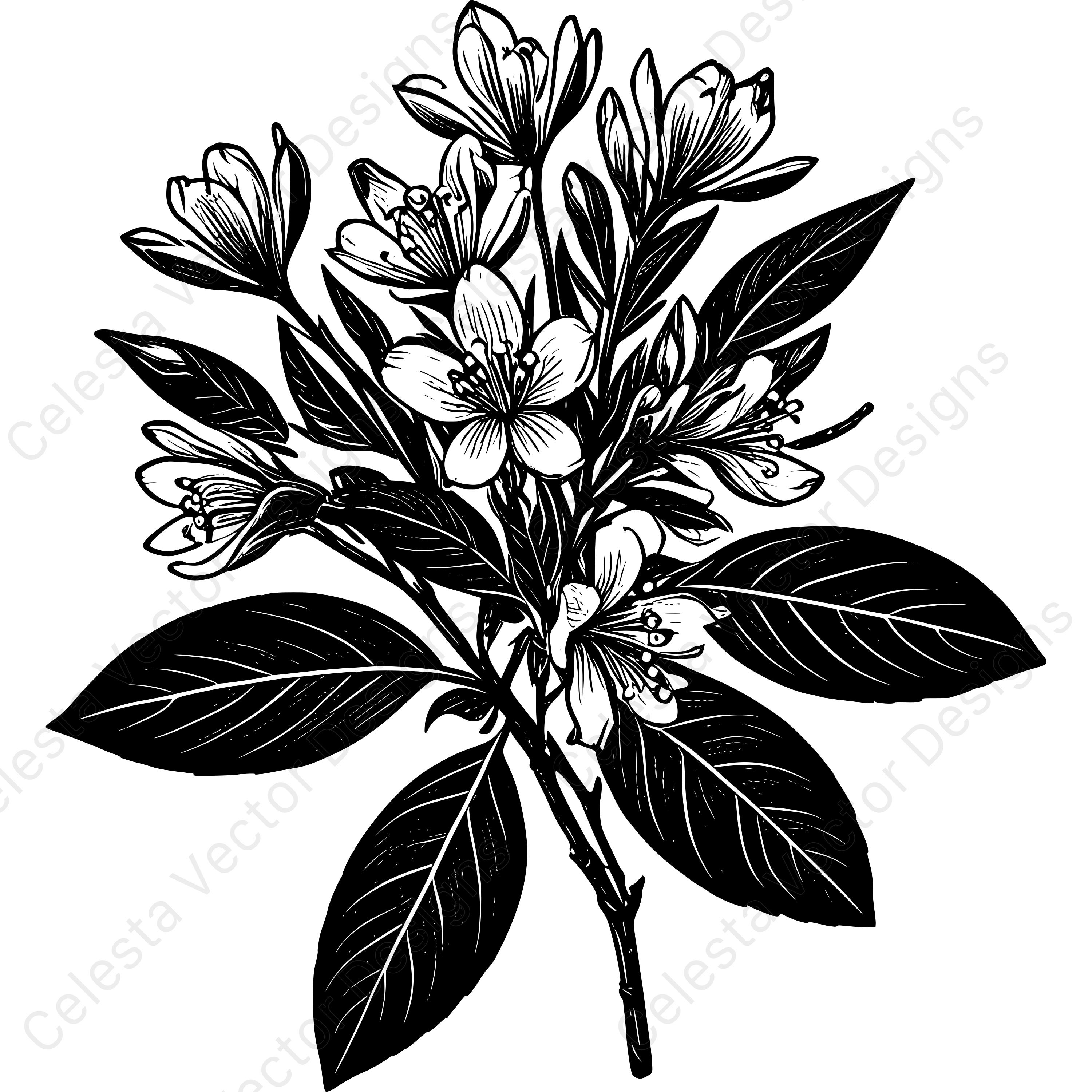 Serviceberry Bloom Vector Clipart - 4 Digital Download Images for ...