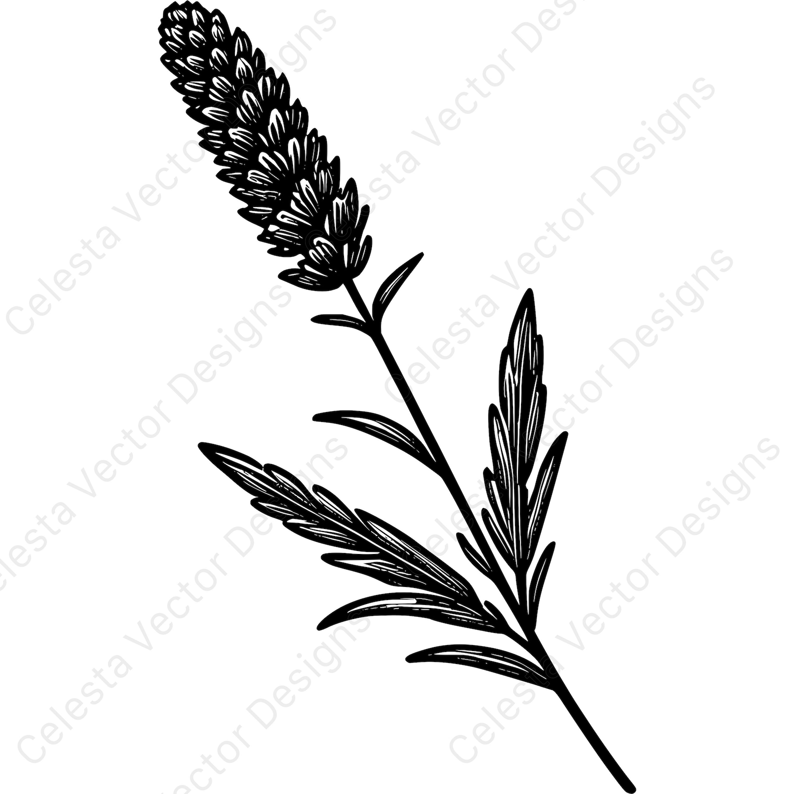 Lavender Sprig Clipart Set - 4 Vector Images for Digital Download - Svg ...