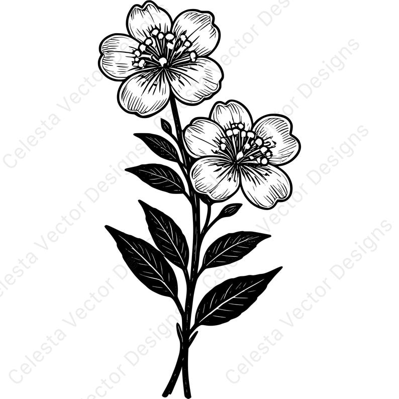 Forget-me-not Vector Clipart Set - 4 Digital Download Images for Cricut ...
