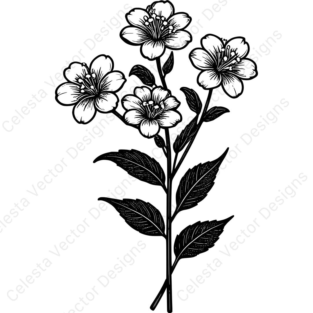 Forget-me-not Vector Clipart Set - 4 Digital Download Images for Cricut ...