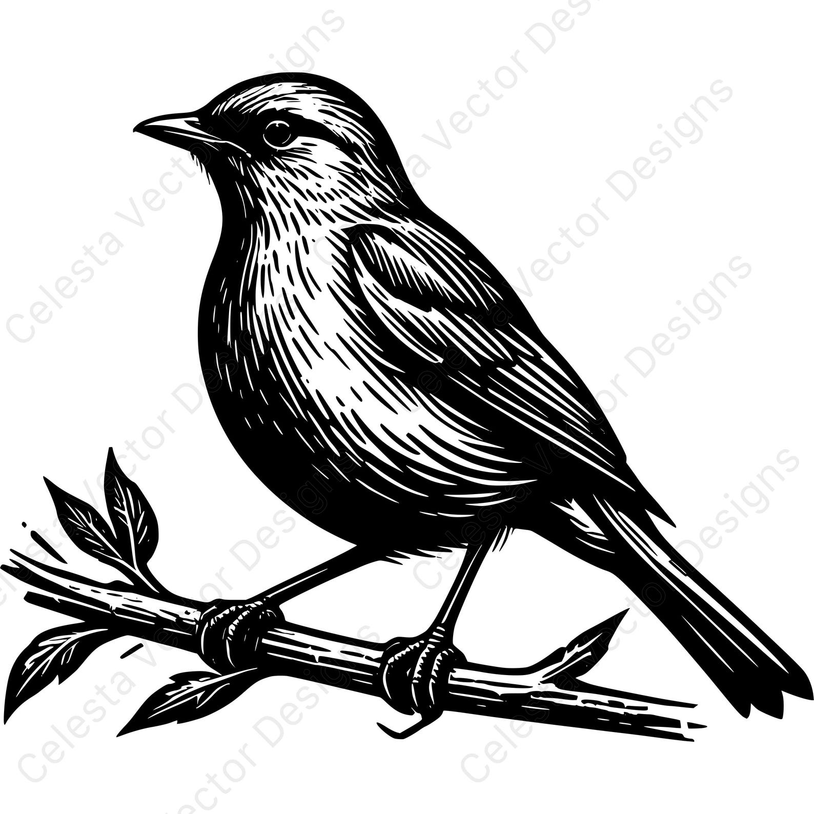 Robin Bird Vector Clipart - 4 Digital Download Images for Cricut ...