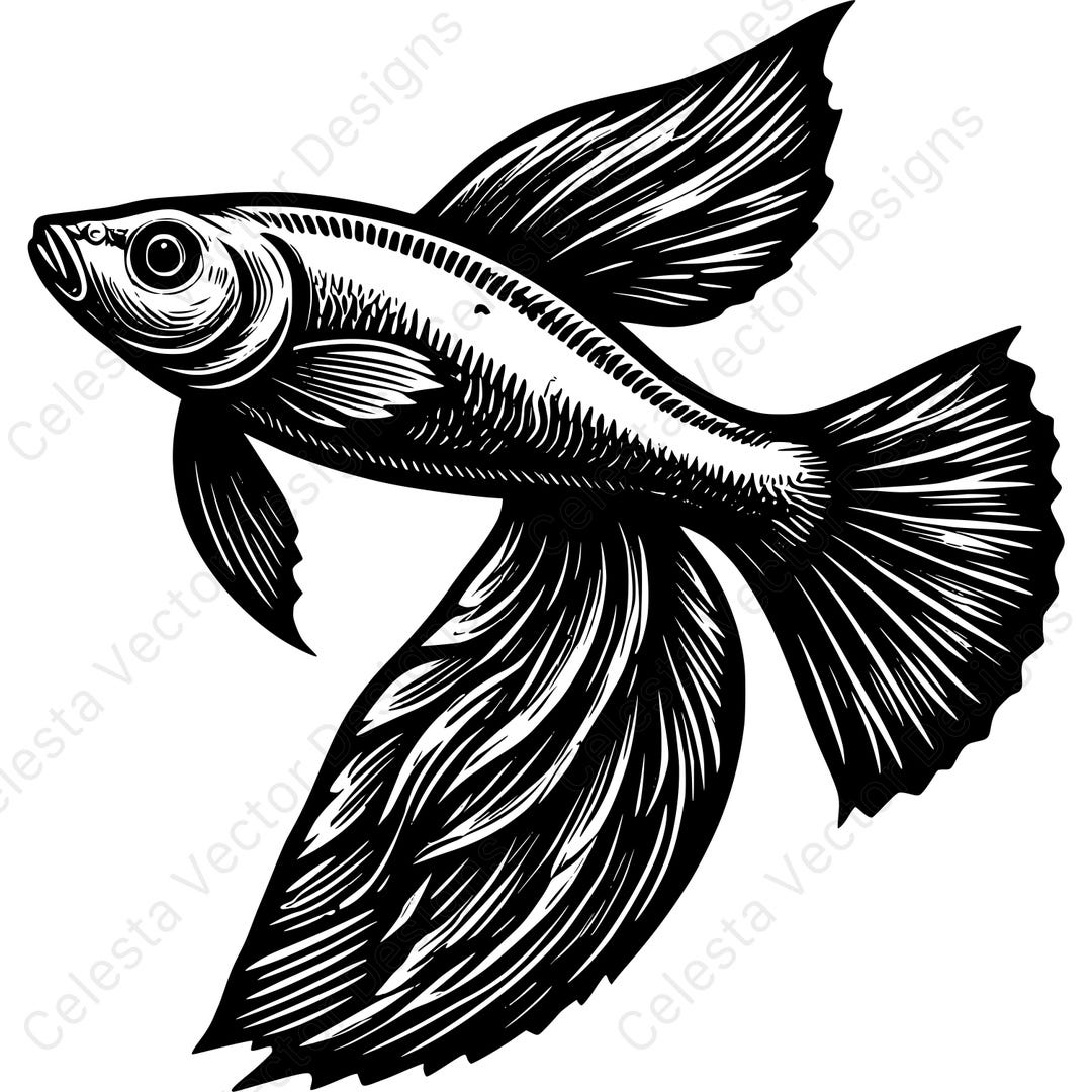 Guppy Fish Vector Clipart Digital Download | 4 Images Svg Png Jpg Pdf ...