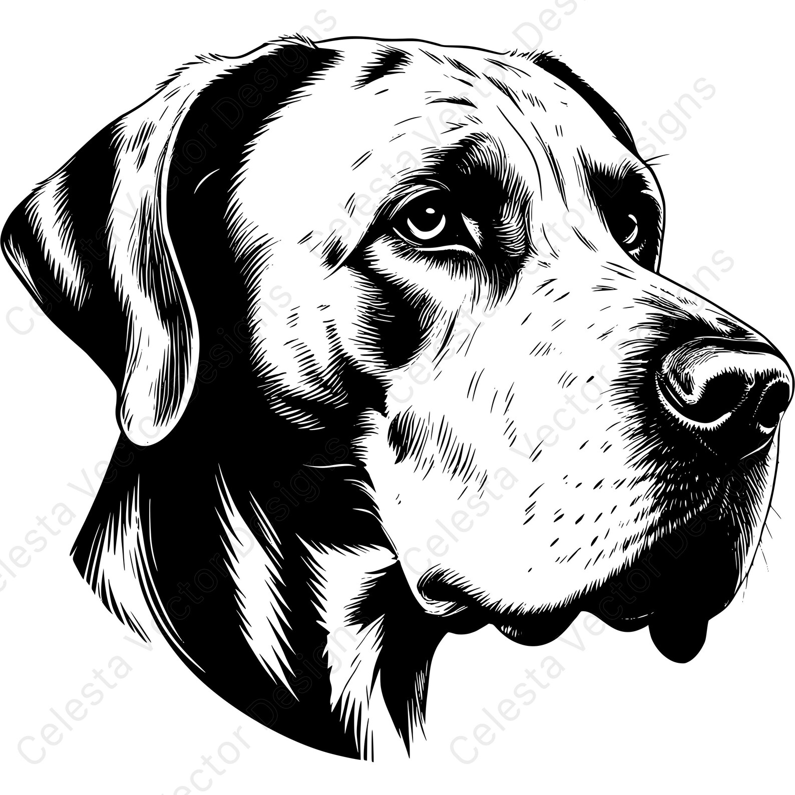 Great Dane Portrait Vector Clipart Digital Download - 4 Images Svg Png ...