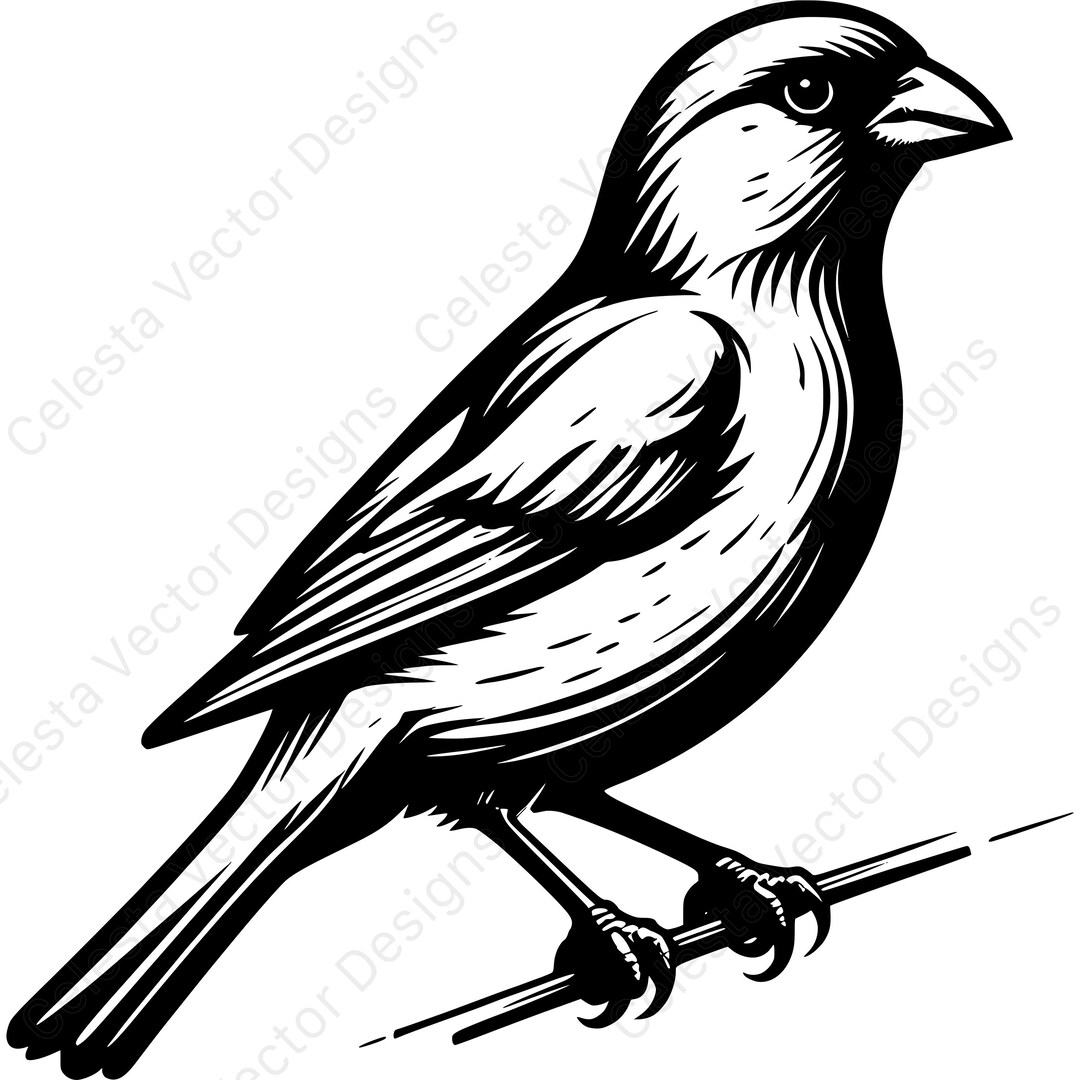 Canary Bird Vector Clipart Set - 4 Digital Download Images for Cricut ...