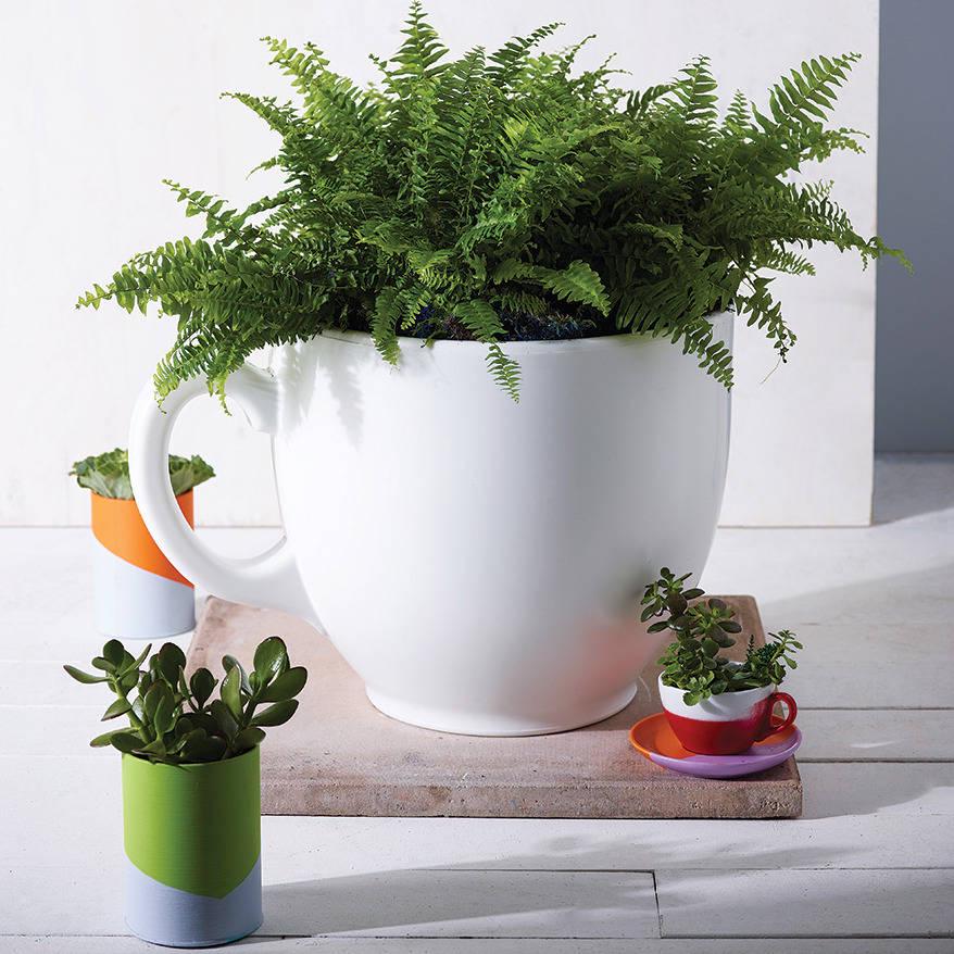 Tea Cup Planter - Etsy