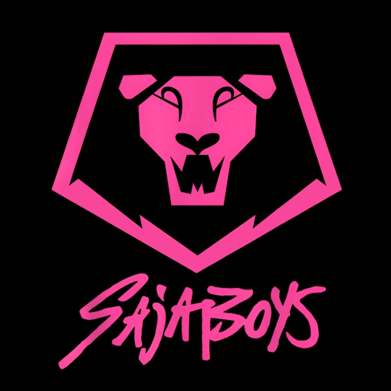 Saja Boys Logo Lion - Etsy