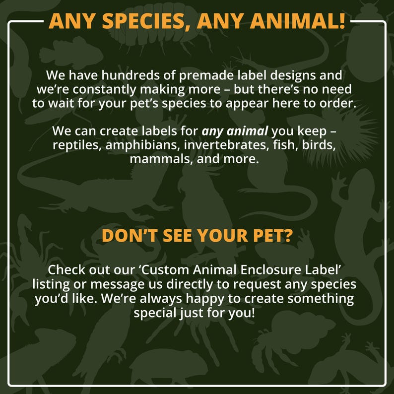 Custom Antilles Pinktoe Tarantula Label – Laminated Enclosure Tag for ...