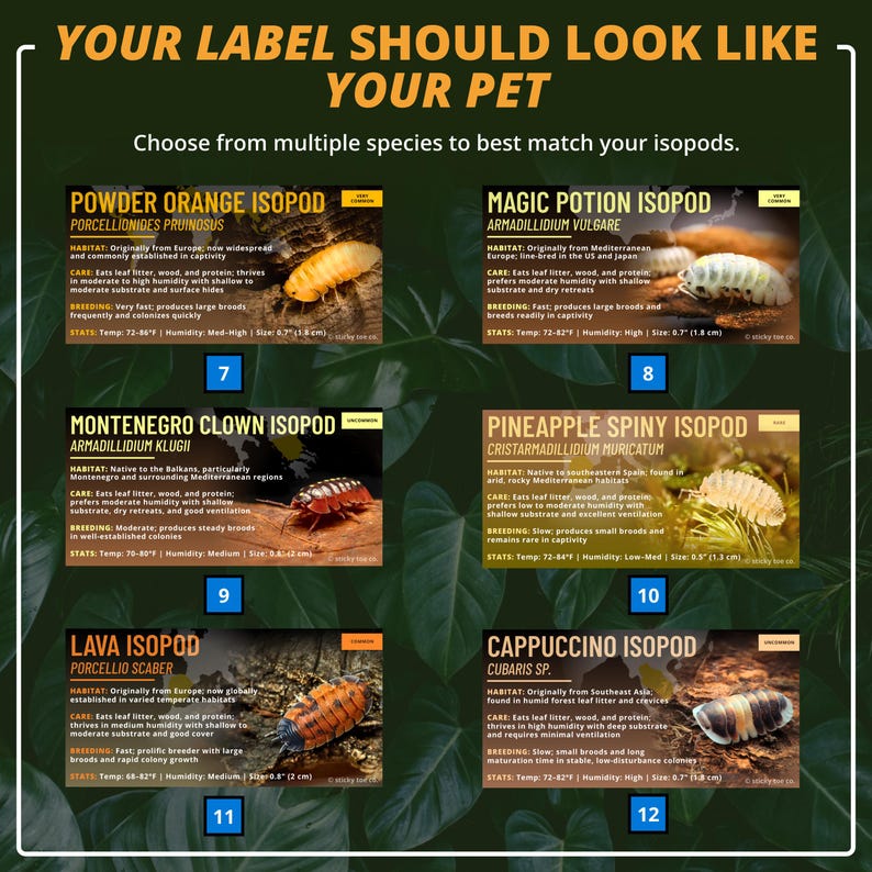 Isopod Bin Labels – Laminated Species Labels for Isopod Colonies - Etsy