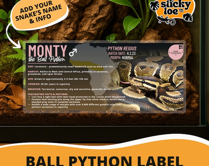 LARGE Custom Invert/reptile Enclosure Labels - ANY Species, ANY Common ...