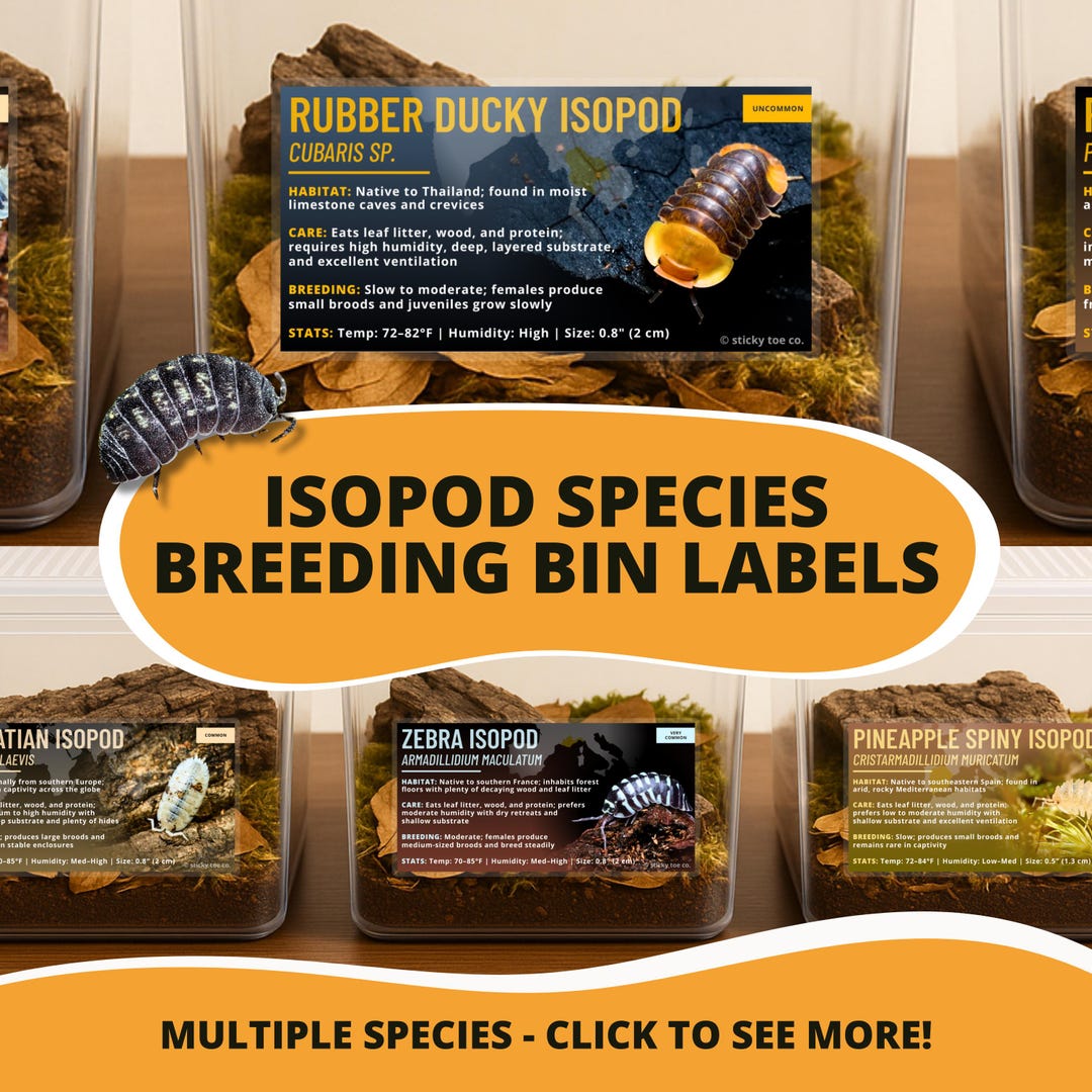 Isopod Bin Labels – Laminated Species Labels for Isopod Colonies - Etsy