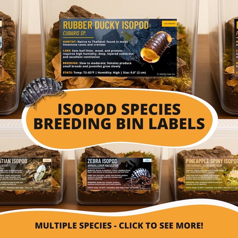 Isopods Bin Labels - Etsy