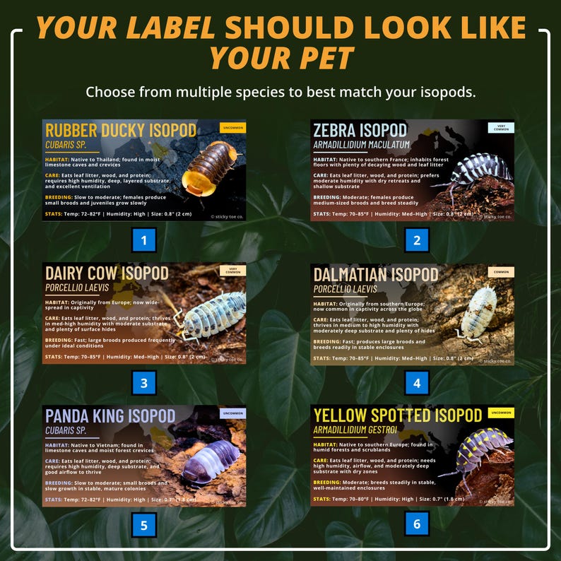 Isopod Bin Labels – Laminated Species Labels for Isopod Colonies - Etsy